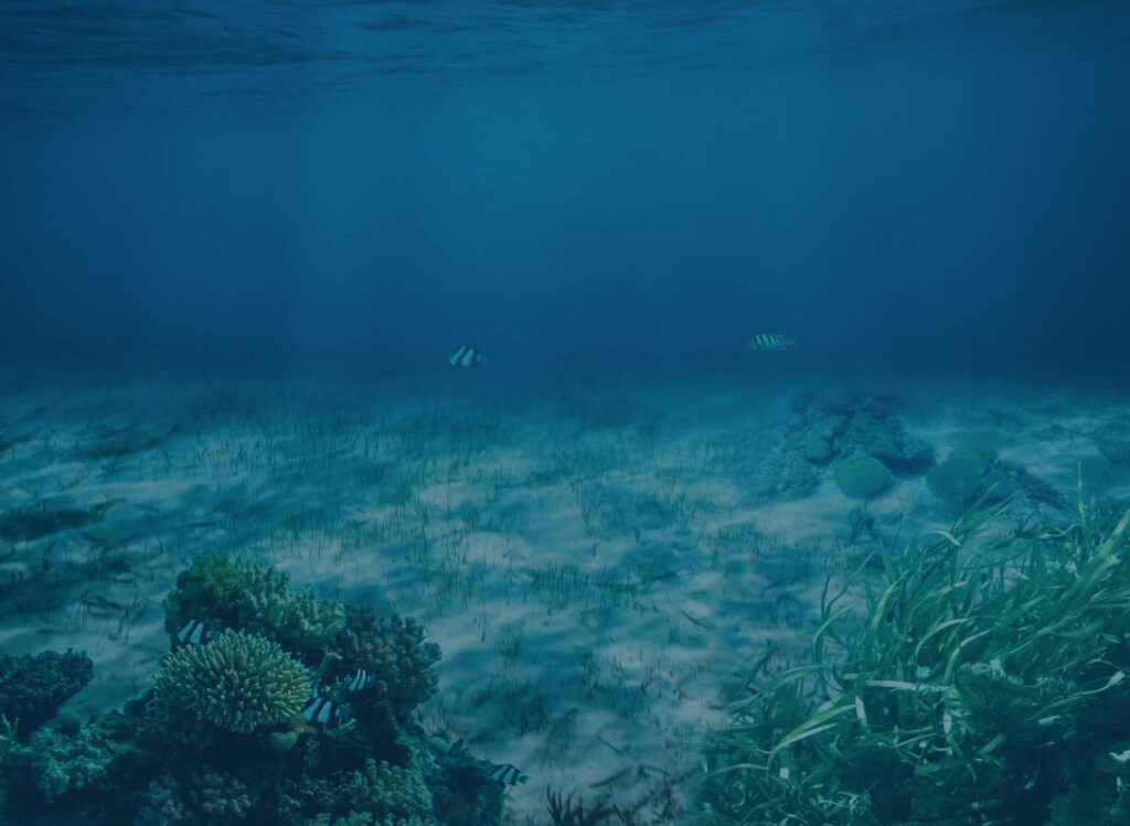The shift that sparks nitrification: PML research resolves long ...