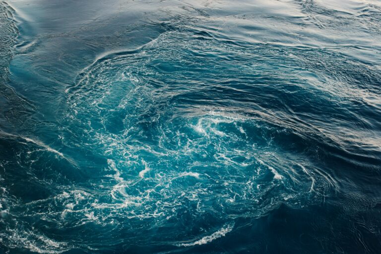 Ocean whirlpools reveal shifting patterns in plankton life across the ...