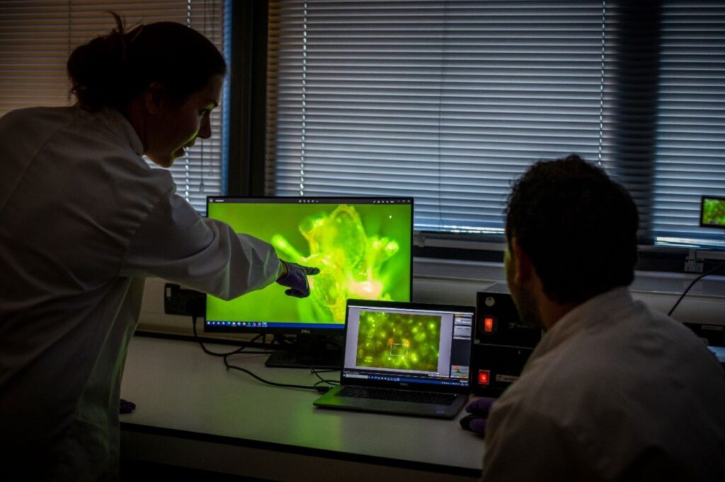 UK’s top science organisations unite to support national priorities and ...